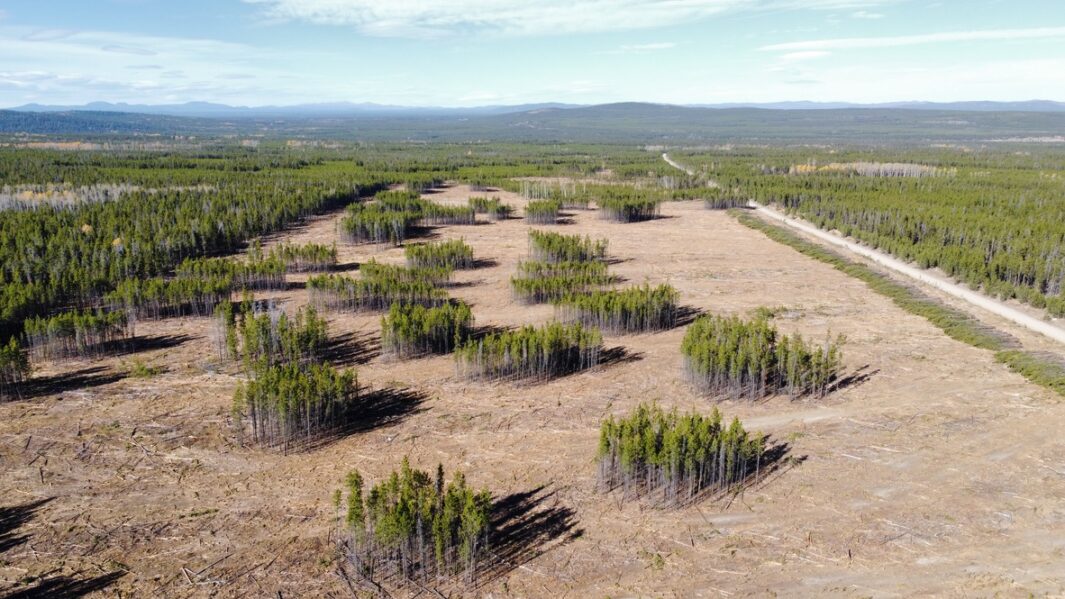 FESBC Welcomes Applications for Wildfire Risk Reduction and Enhanced ...