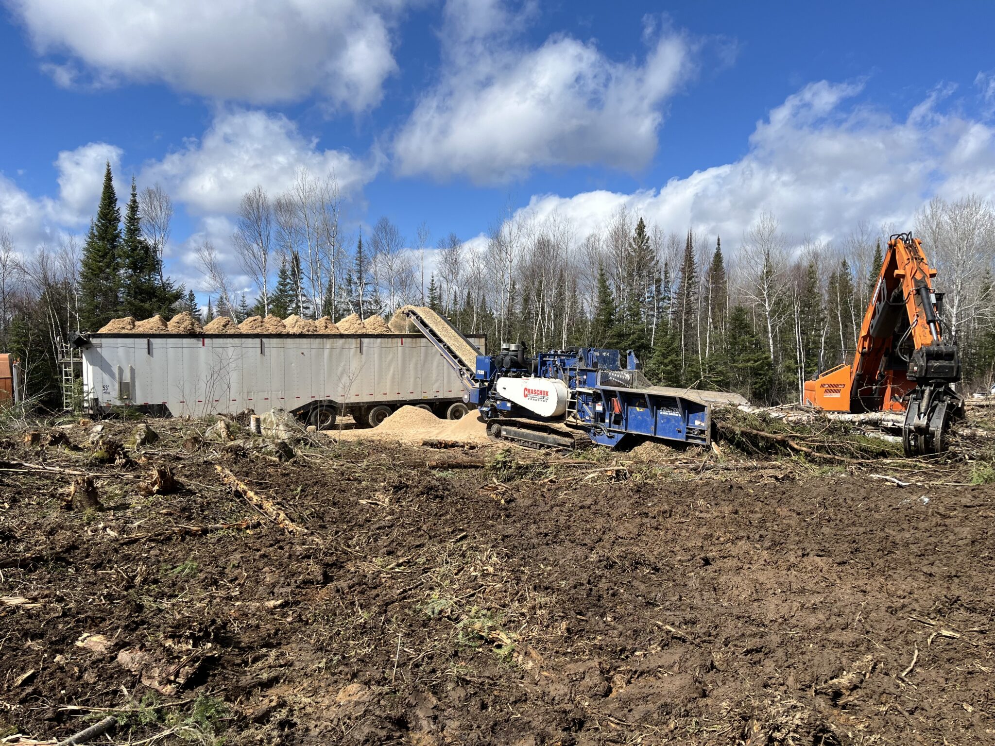 New Study Shows Biomass Ground in the Woods Can be Cost Effective and ...